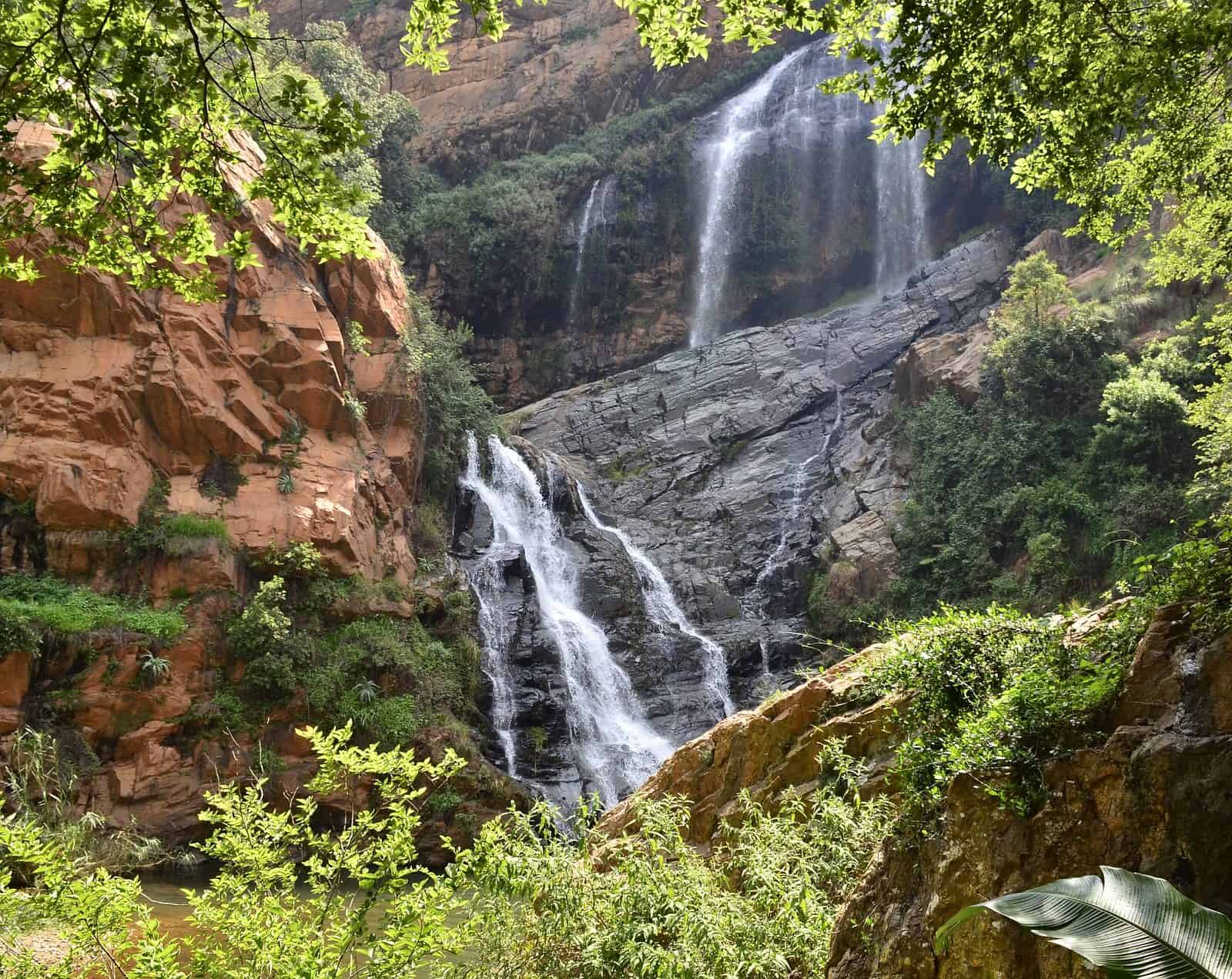 Nelson Mandela, Lion Safari & Soweto Kota Festival in Johannesburg ...