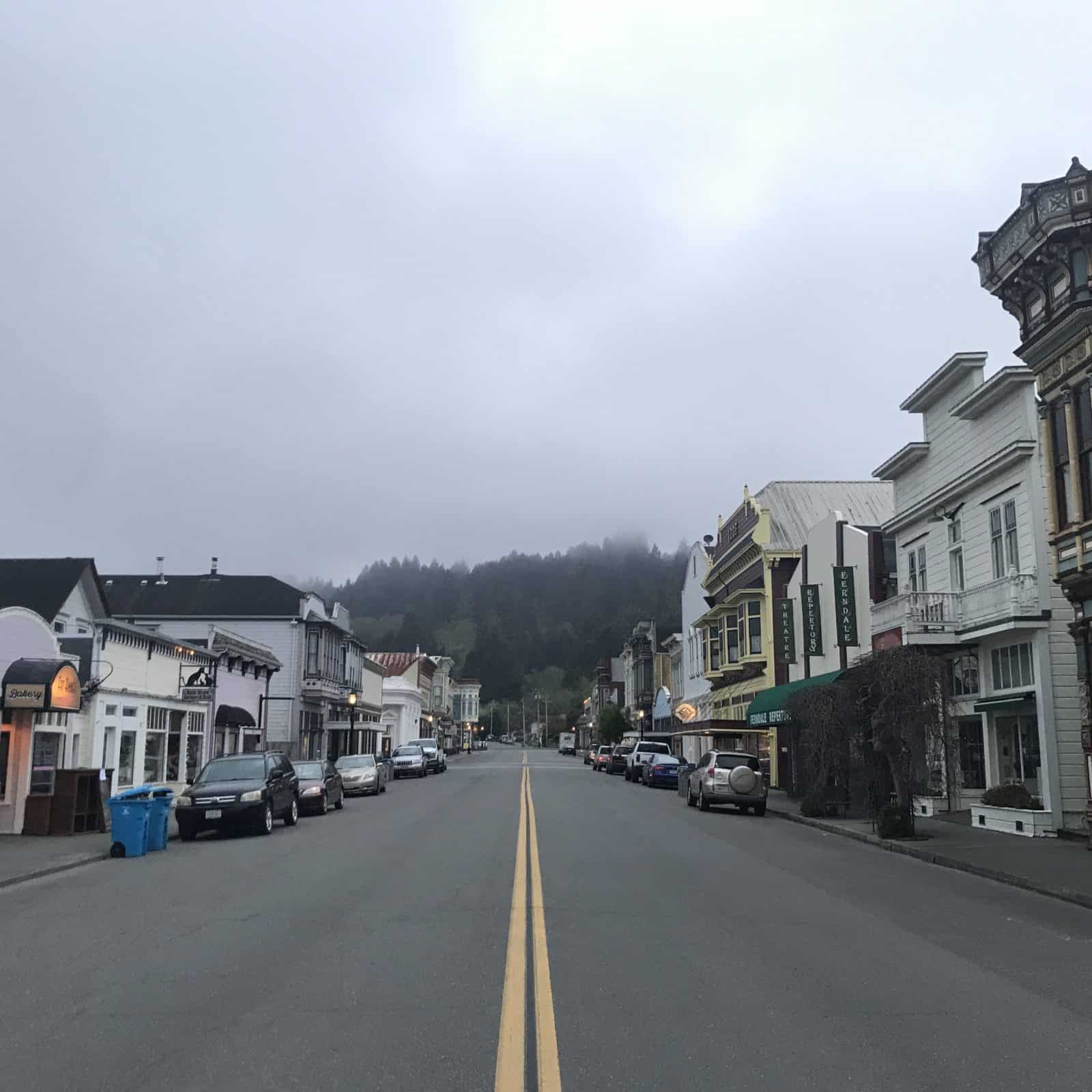 Hiking the Redwood Forest in Humboldt, California with Ian Snyder - We ...