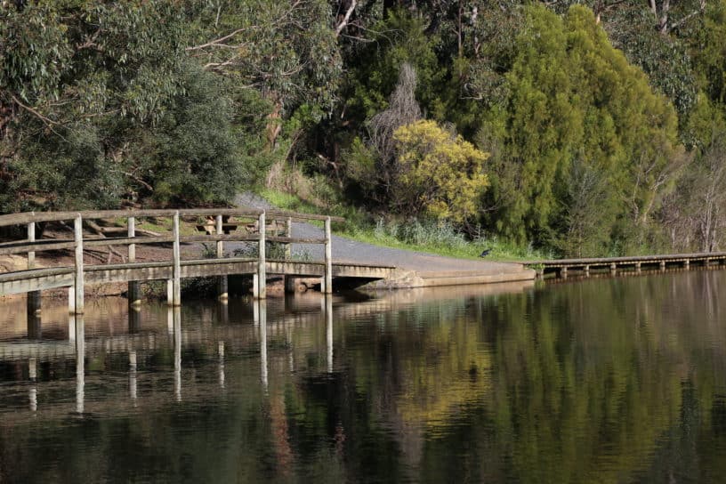 Tarra Bulga, Walhalla Gold Town & Morwell River Falls in Latrobe Valley ...