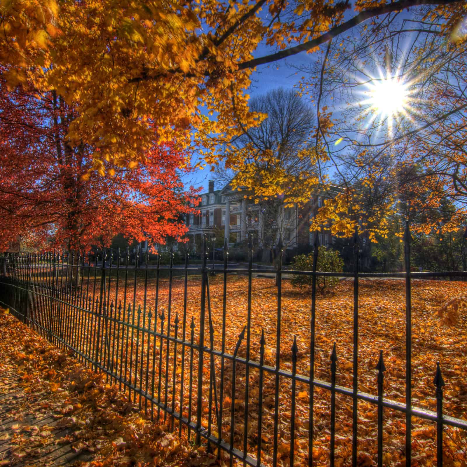 Barter Theatre, Virginia Creeper Trail & Muster Grounds in Abingdon ...