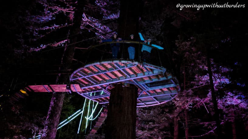 Pink Terraces, Buried Village & Treetop Walkway in Rotorua, New Zealand ...