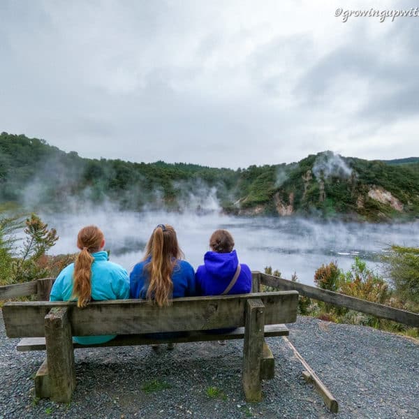 Pink Terraces, Buried Village & Treetop Walkway in Rotorua, New Zealand ...