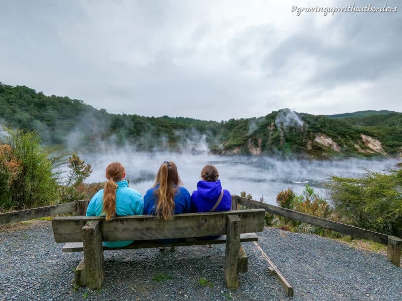 Pink Terraces, Buried Village & Treetop Walkway in Rotorua, New Zealand ...