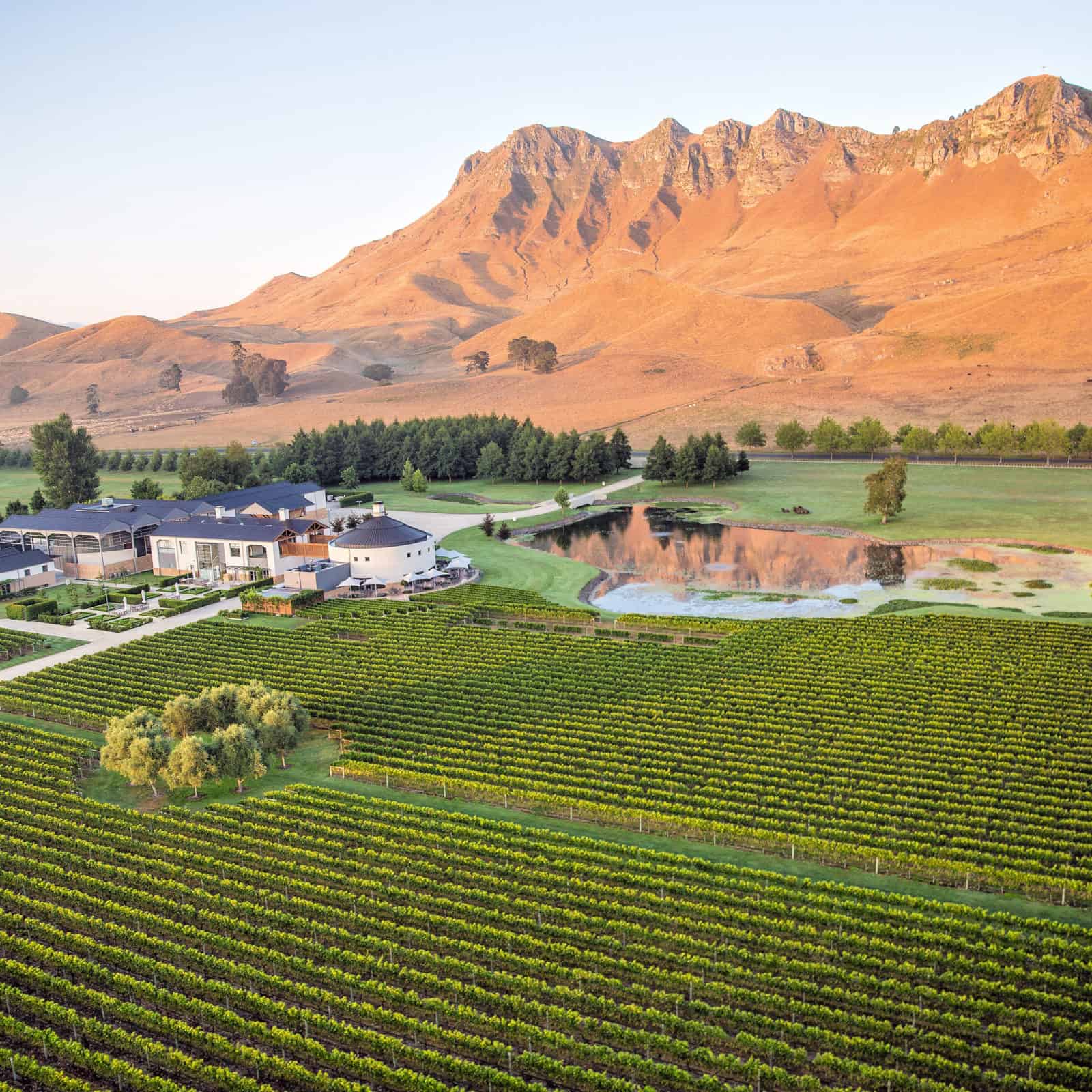 Art Deco Festival, National Aquarium & Wine Tasting in Napier, New ...