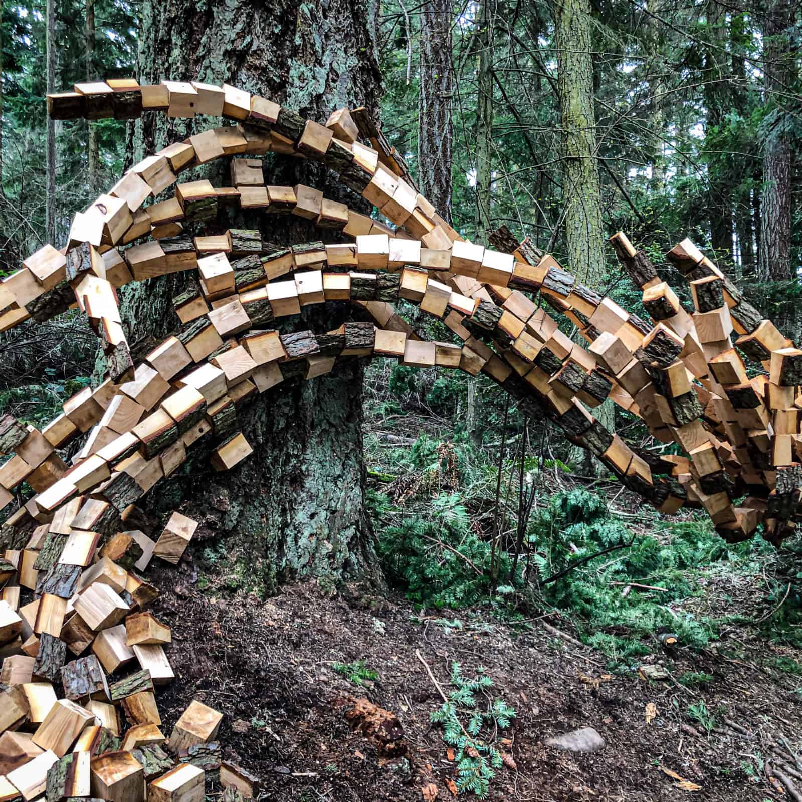Fort Casey, Whale Watching & Price Sculpture Forest on Whidbey Island ...