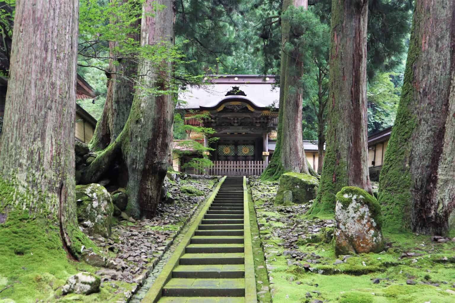 Asuwa Shrine, 5 Lakes of Mikata & Echizen Ono Castle in the Sky in ...