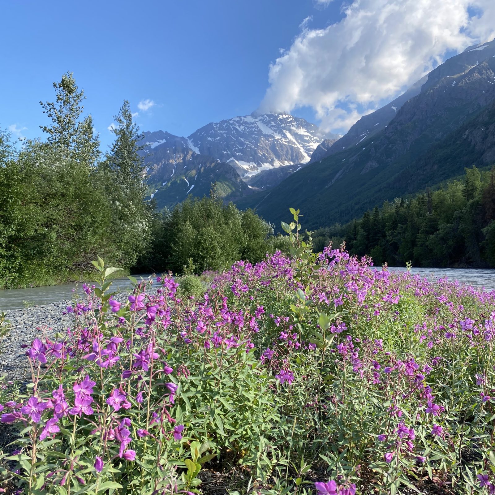 Summer Solstice, Seward Highway & Kincaid Park in Anchorage, Alaska ...