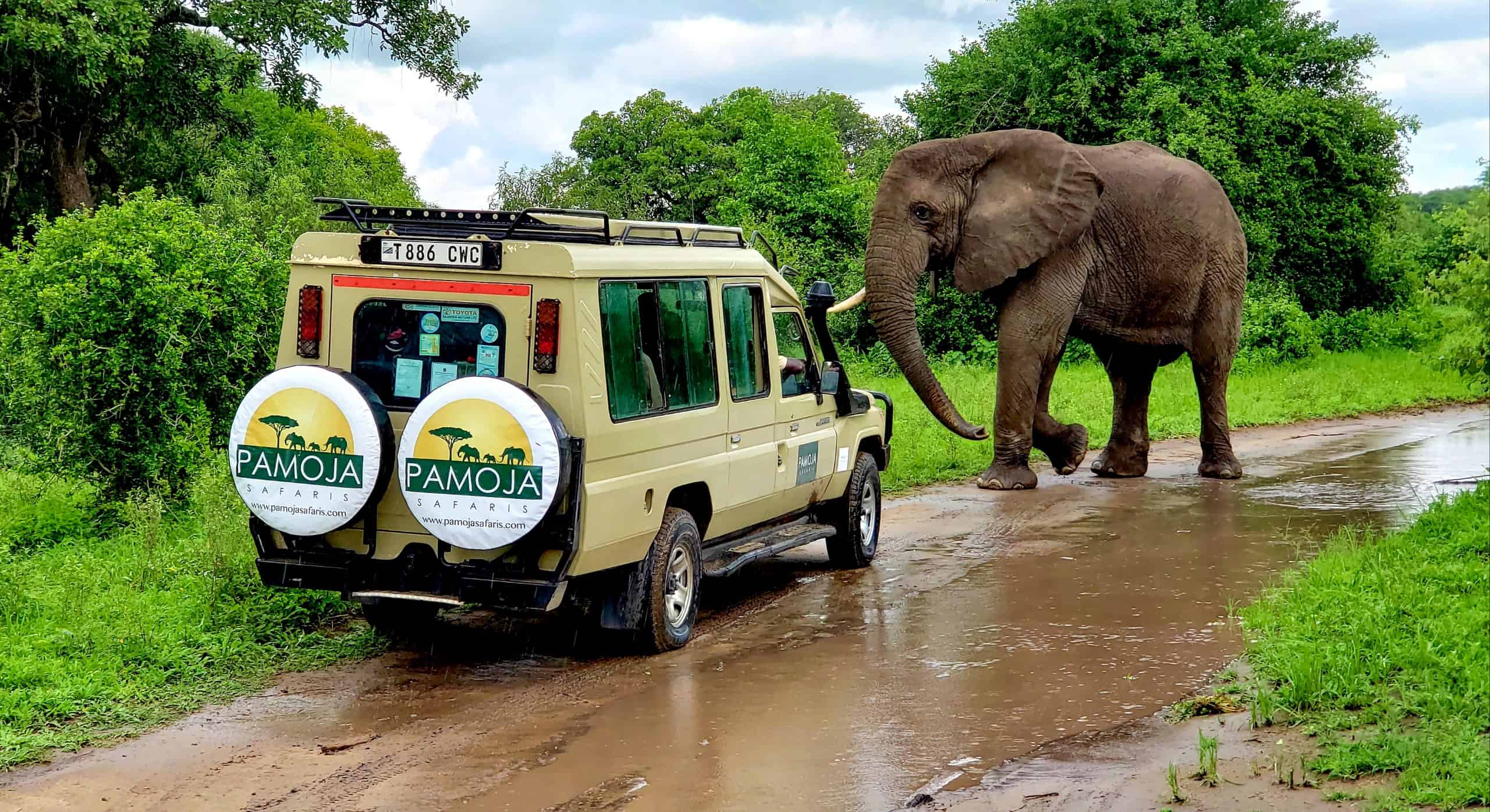 Serengeti National Park, Mt Meru & Ngorongoro Crater in Arusha, Tanzania - We Travel There