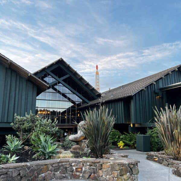 Wine Tasting, Relaxing Hot Springs & Cooking Classes in Napa ...