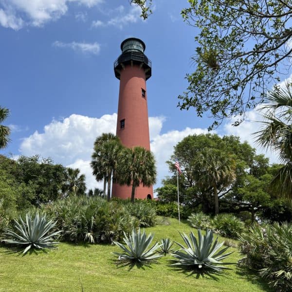 Jupiter Wreck Trek, Spring Baseball & Loggerhead Marinelife Center in ...