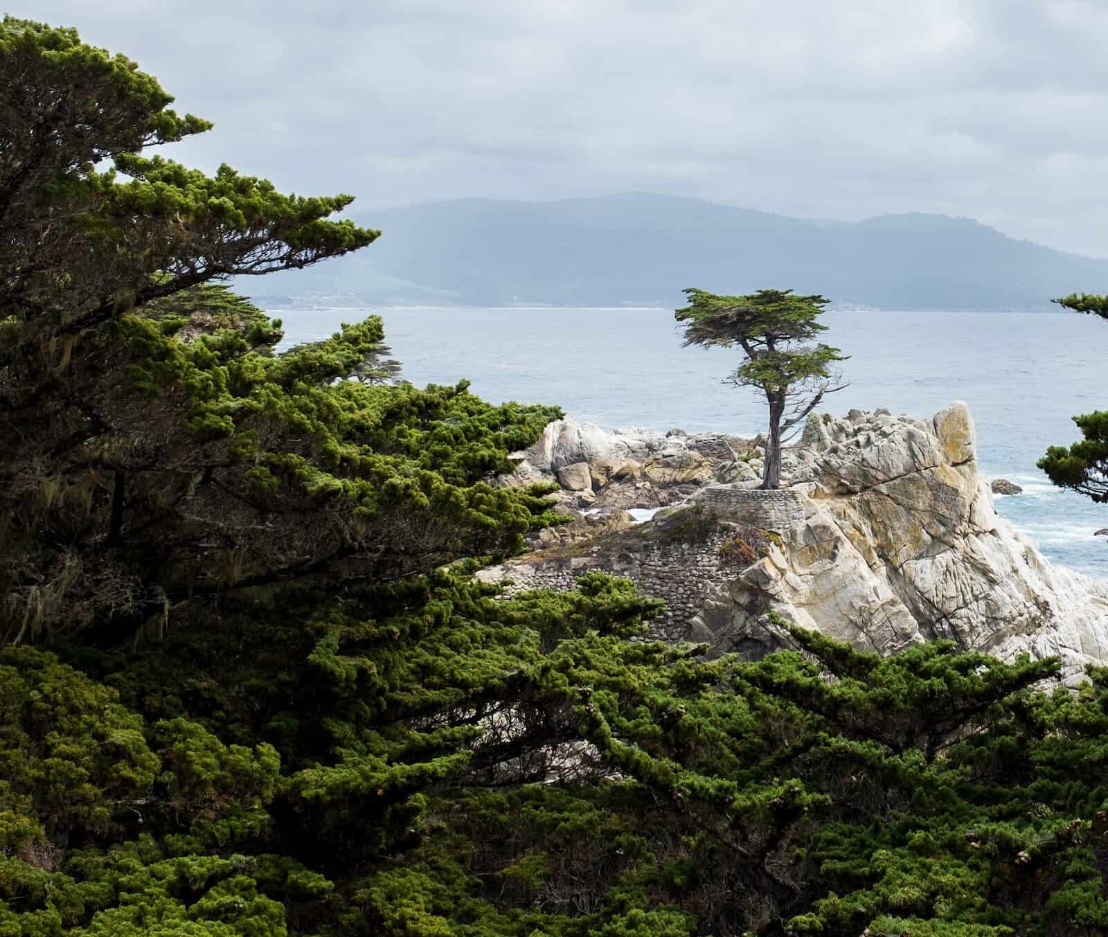 Monterey Bay Aquarium, Lover's Point & Carmel Mission in Monterey ...