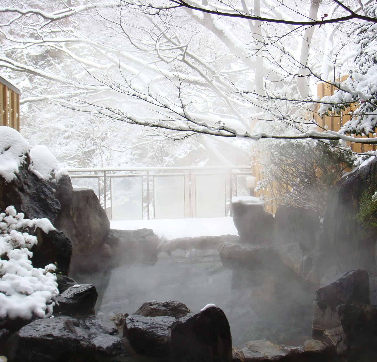 Great Wisteria Festival, Lake Chuzenji & Ashikaga Flower Park in Nikko ...