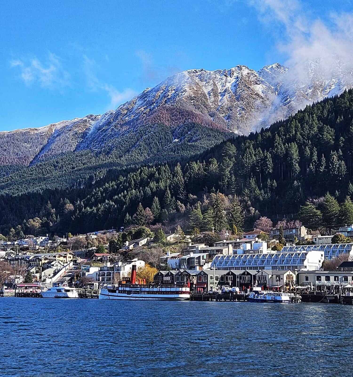 Kiwi Park, Lake Wakatipu & Milford Sound in Queenstown, New Zealand - We Travel There