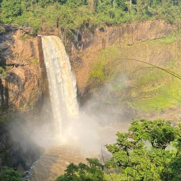 Edea Reserve, Ekom Nkam Waterfalls & Marche de Fleurs in Douala ...