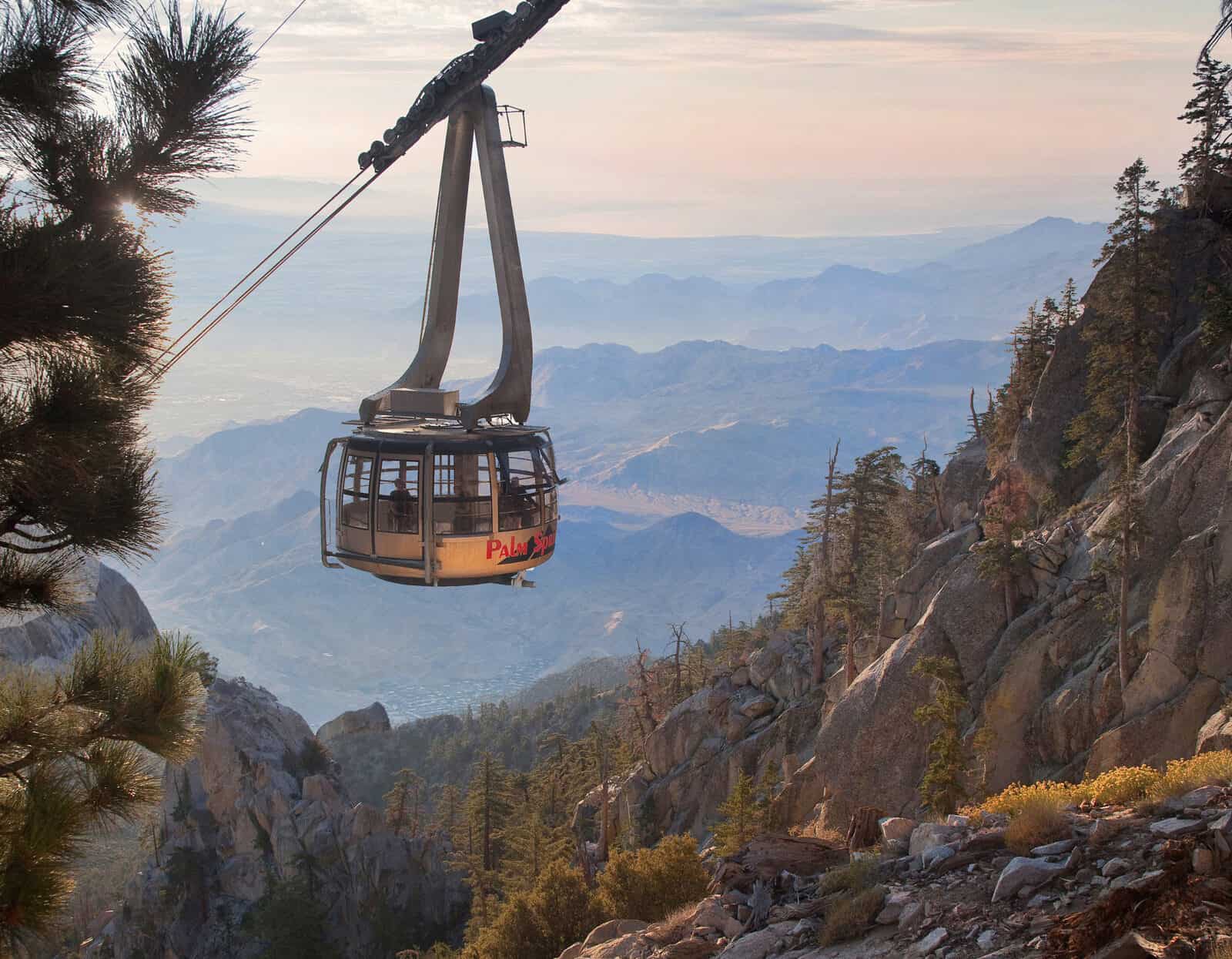 Modernism Week, Aerial Tramway & The Living Desert in Palm Springs ...